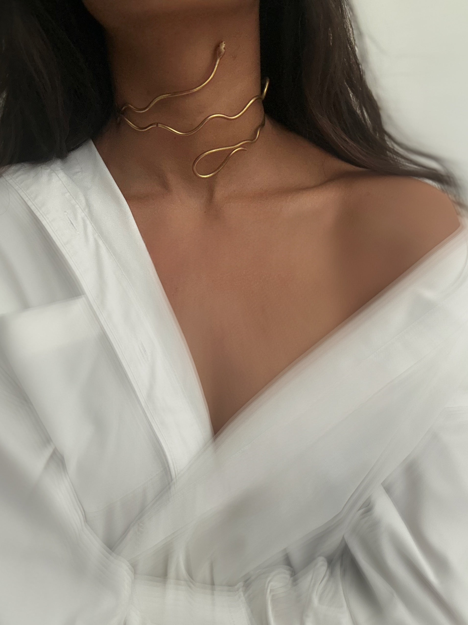 Snake Spiral Choker Necklace – Dhora India